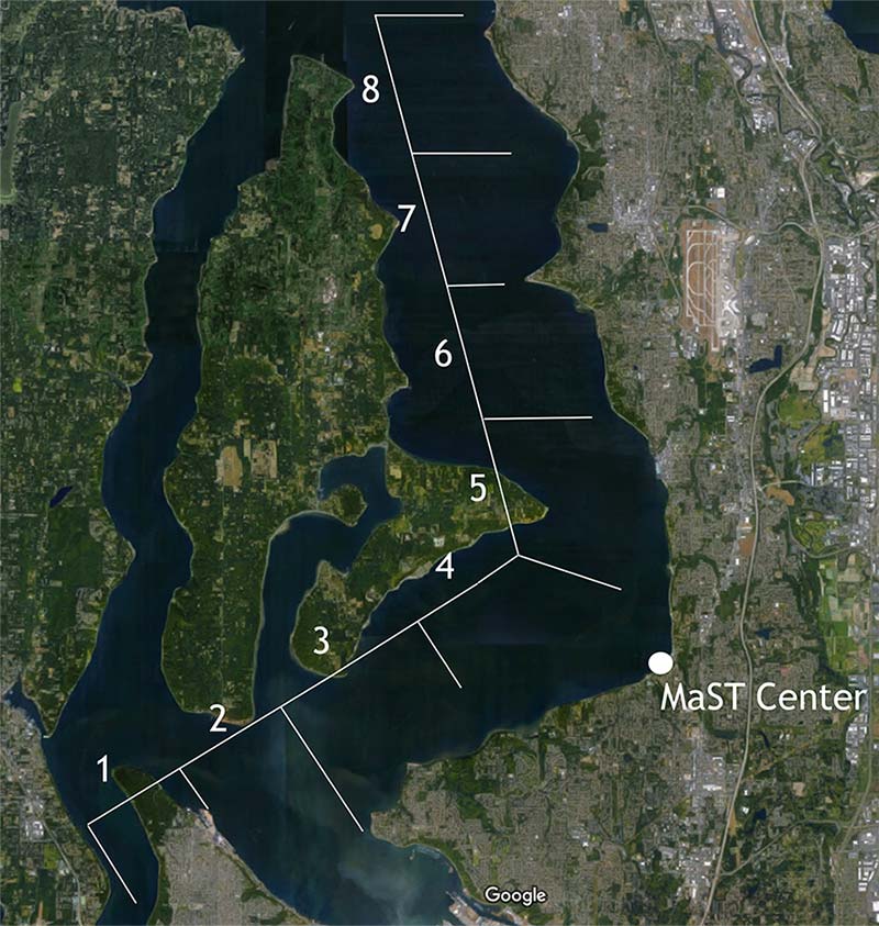 MaST-Marine-Mammal-Stranding-Team-Map » MaST Center
